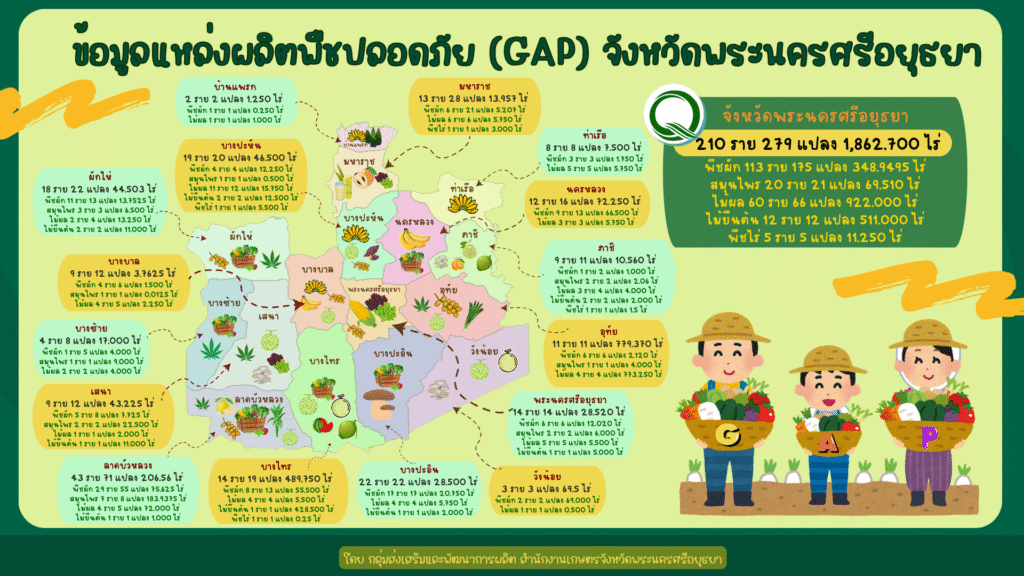 การผลิตพืชปลอดภัย (GAP) – สำนักงานเกษตรจังหวัดพระนครศรีอยุธยา